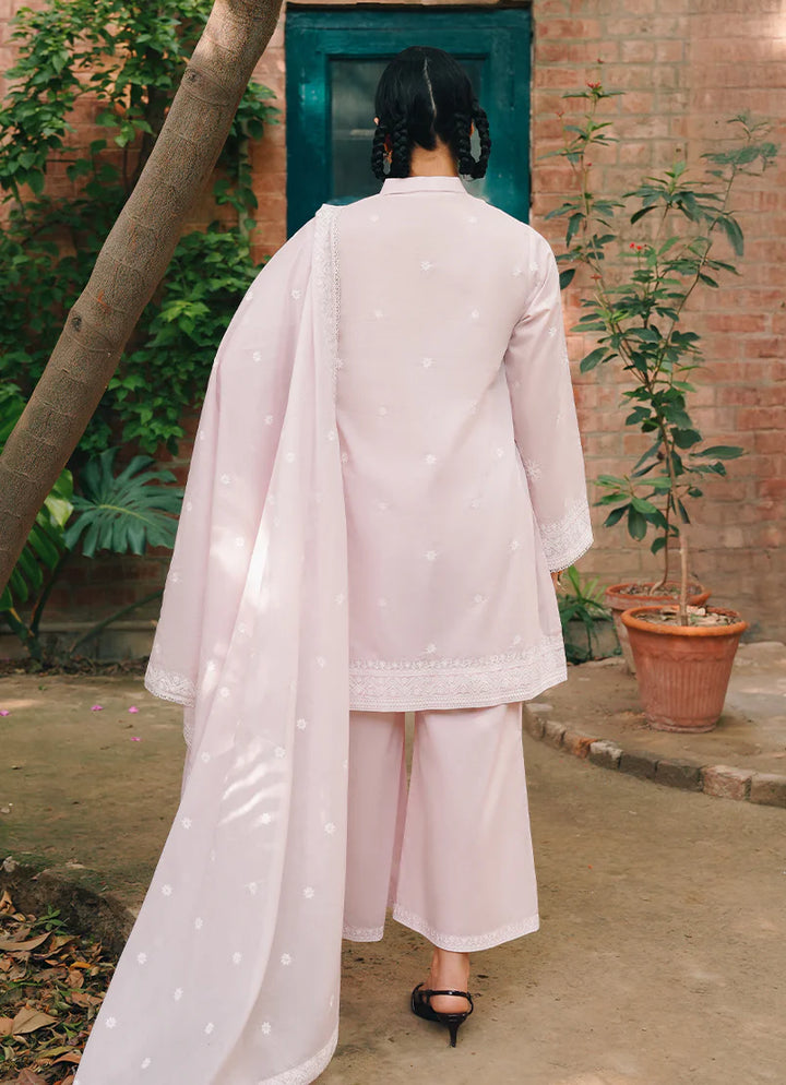 Summerkari ‘25- Azmia – Nainpreet - The Collective